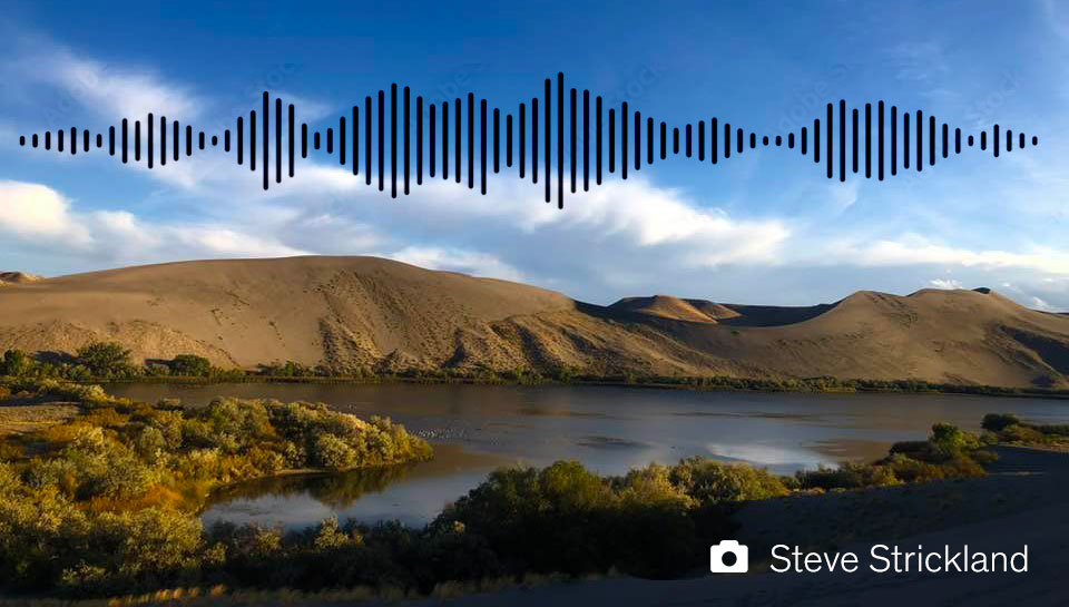 Listen Local Day! – Radio Boise